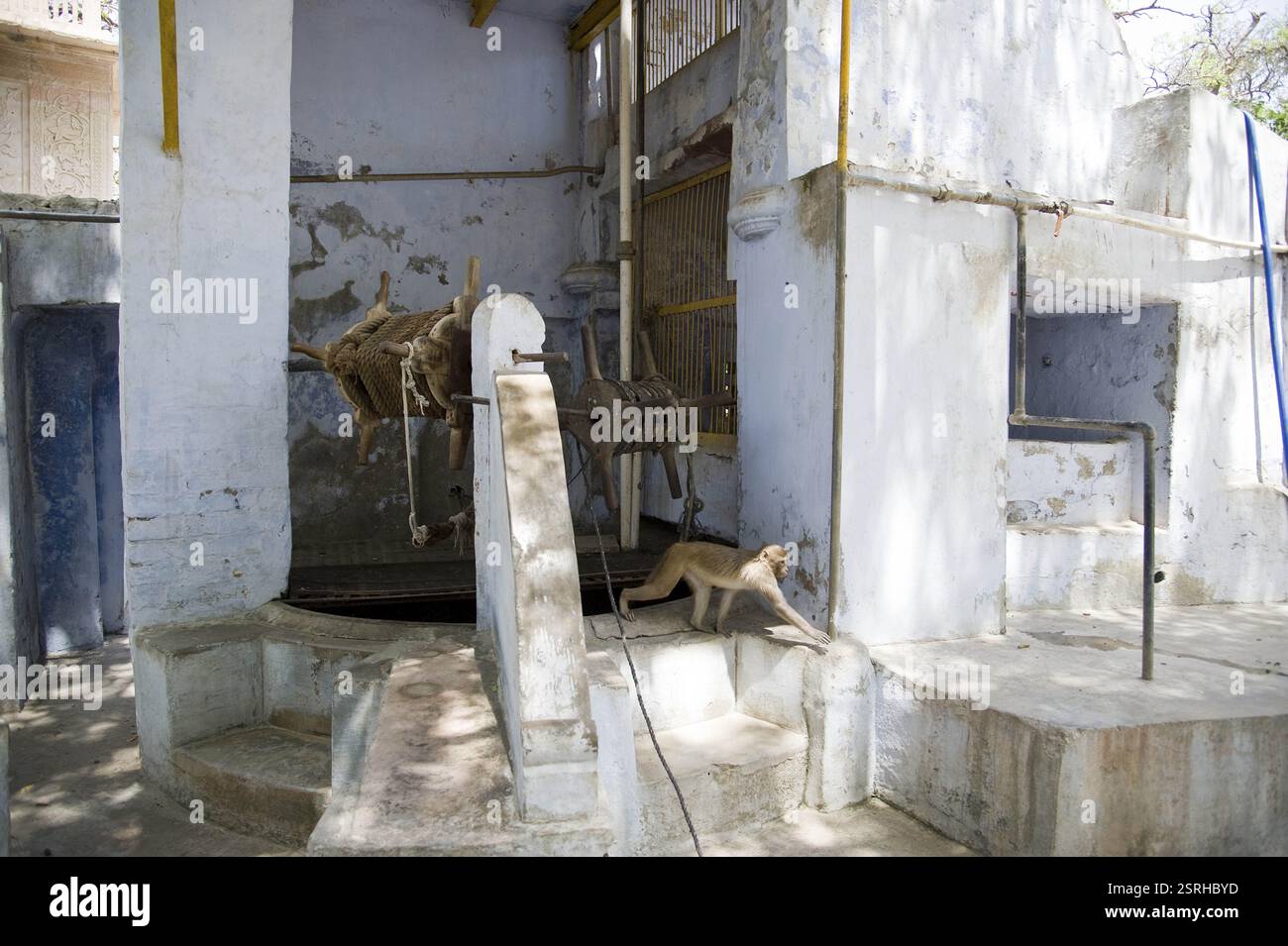 Shree tatiya sthan, mathura, uttar pradesh, india, asia Stock Photo - Alamy