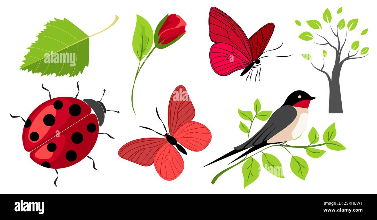 Colorful vector illustration of various plants and insects in a natural ...