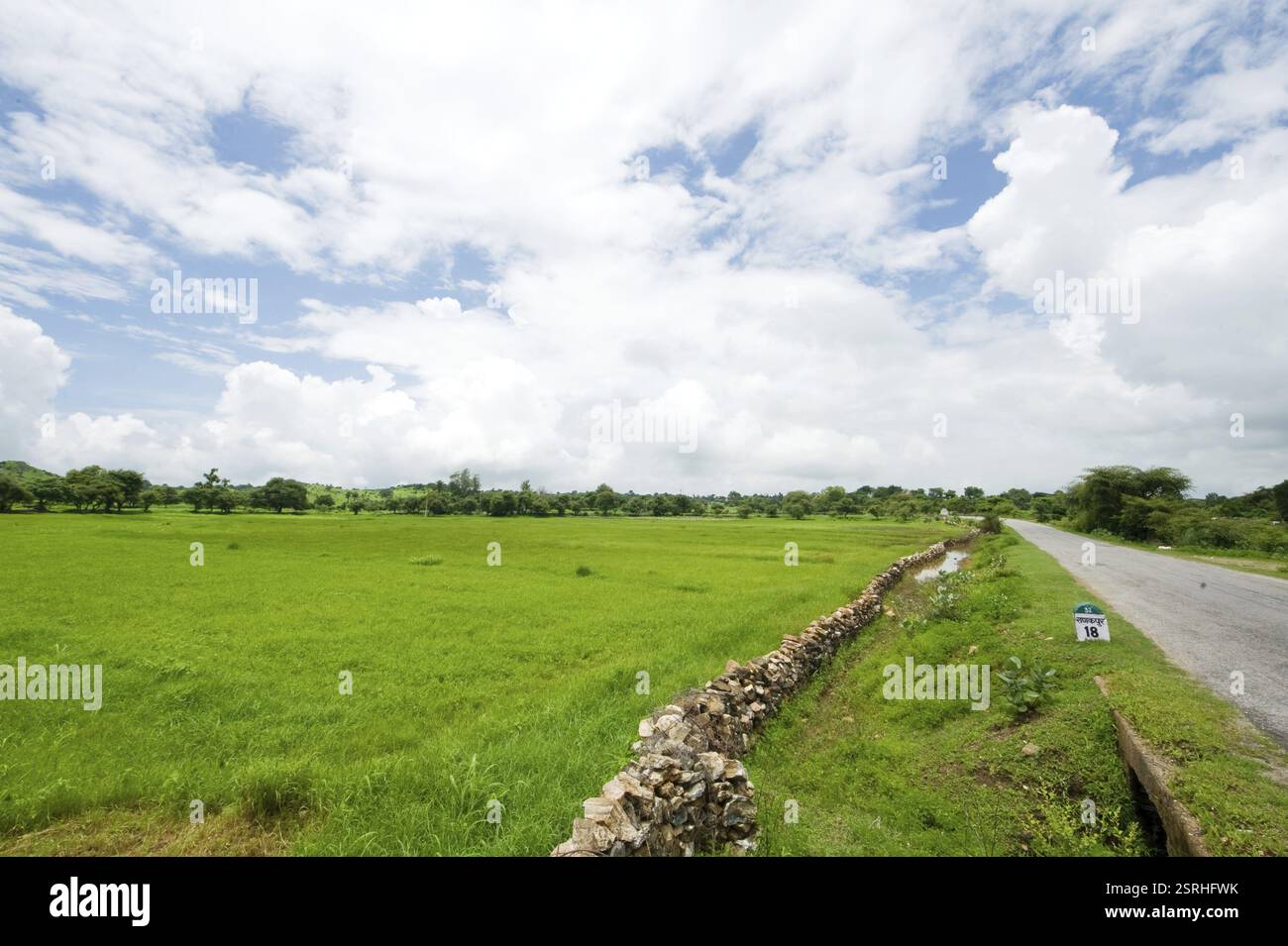 Landscape green field india Stock Photo - Alamy