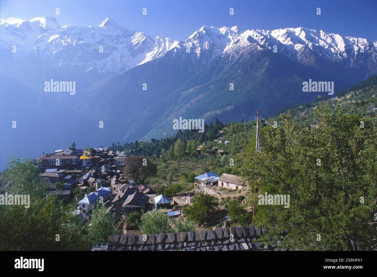 Village Kalpa, Kinnaur, Himachal Pradesh, India, Asia Stock Photo - Alamy