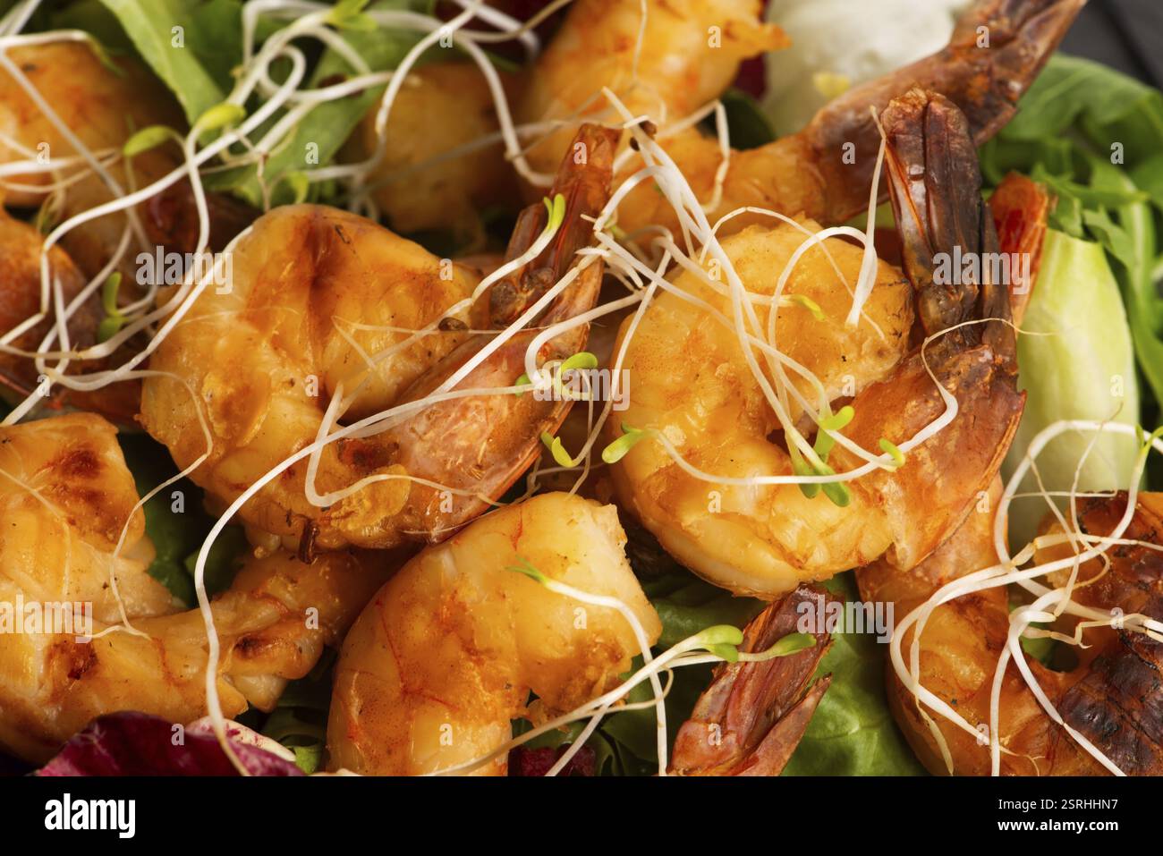 Smoked Shrimp on Fresh Salad with Alfalfa Sprouts Stock Photo - Alamy