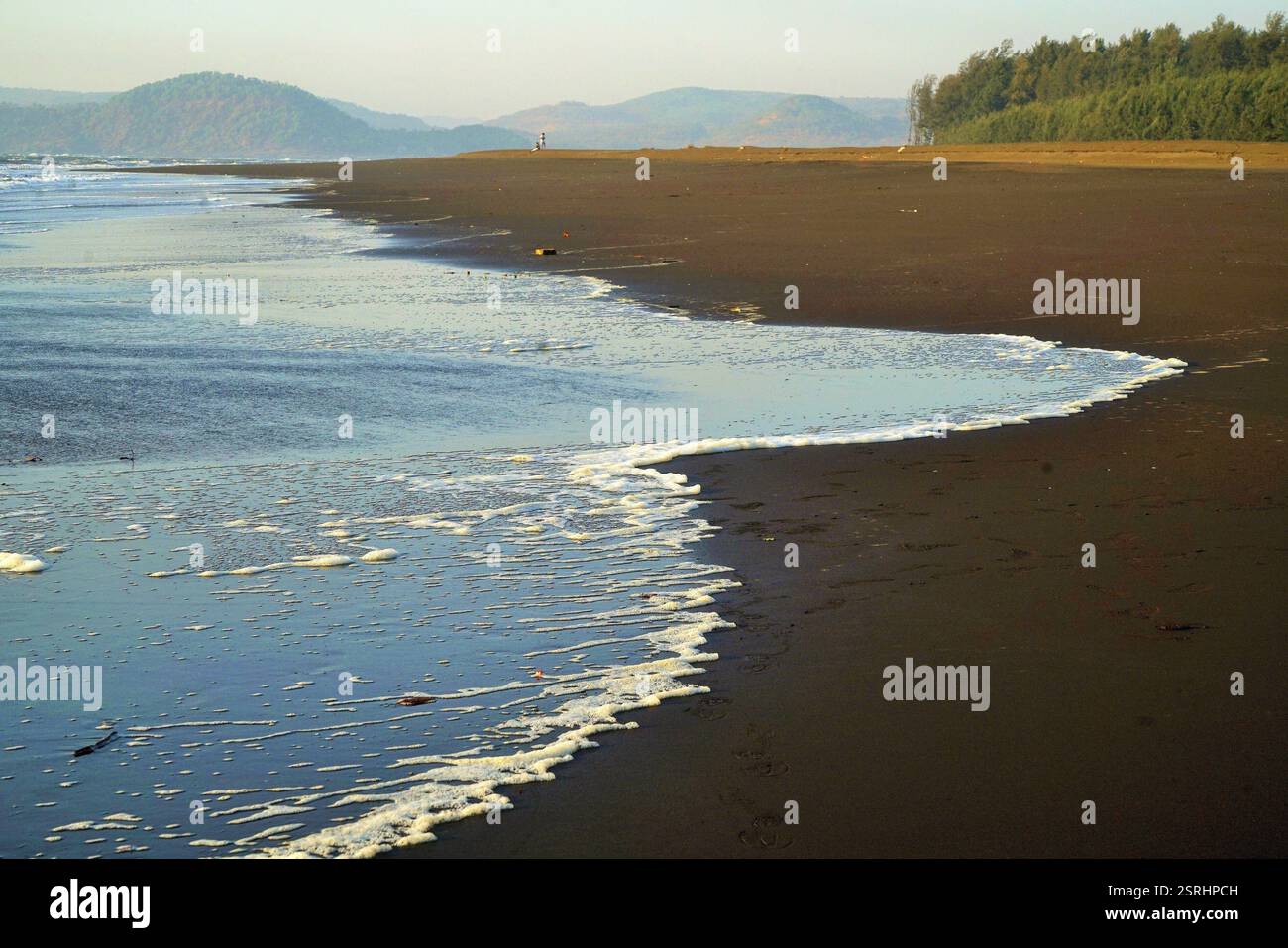Velas beach, Ratnagiri, Maharashtra, India, Asia Stock Photo - Alamy