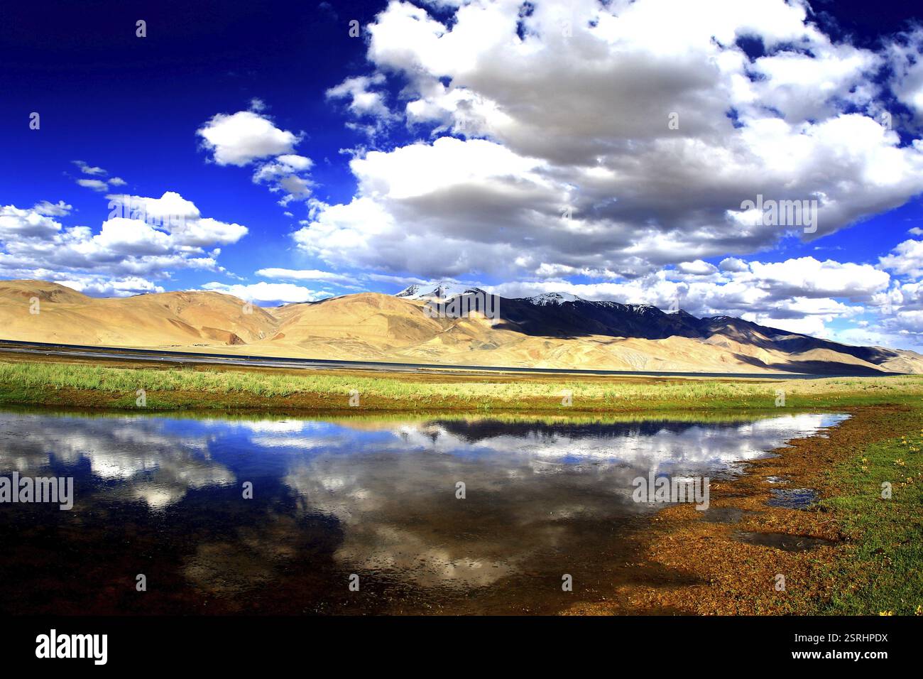 Tso Moriri lake, Ladakh, Jammu and Kashmir, India, Asia Stock Photo - Alamy