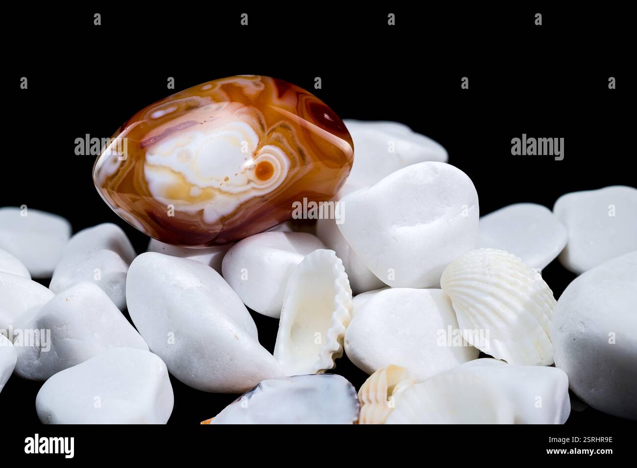 A polished agate stone with rich brown and white bands sits among a ...