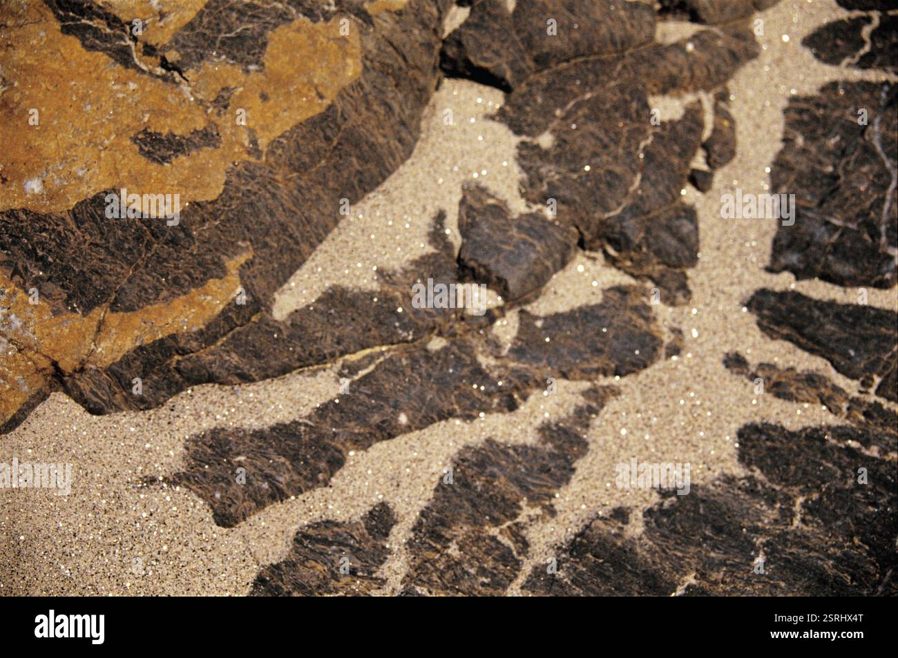 Sand trapped on rock depression, Rishikesh, Uttarakhand, India, Asia ...