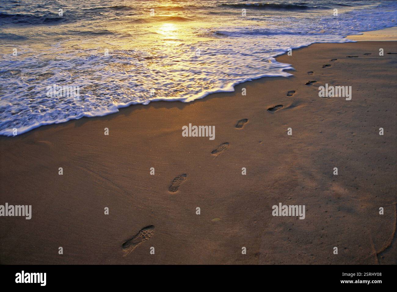Foot steps on beach Bhogwe, Kudal, Maharashtra, India, Asia Stock Photo ...