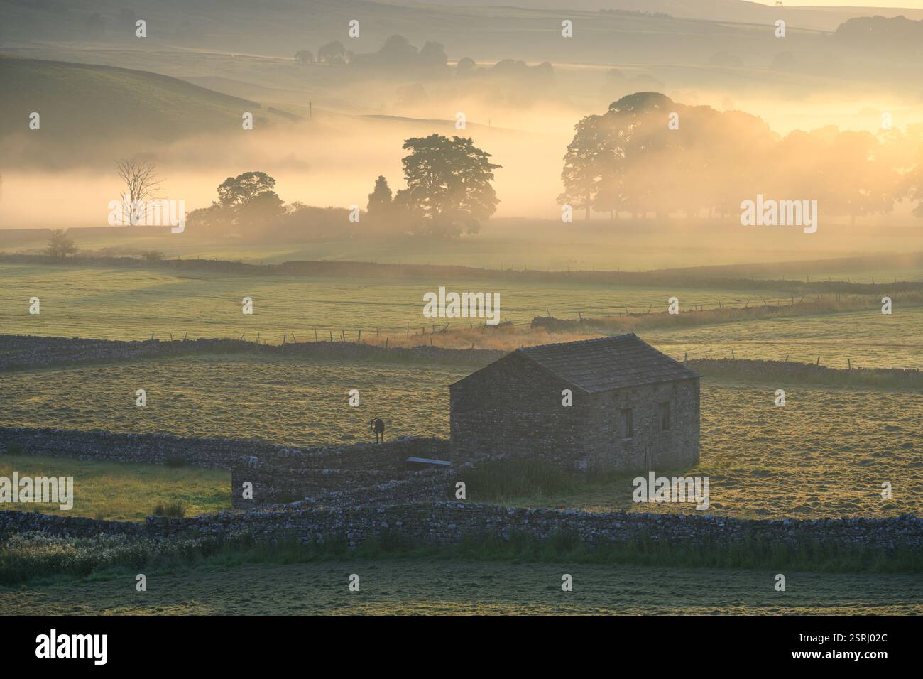 Old farm barn with traditional dry-stone walls on a fresh summer ...