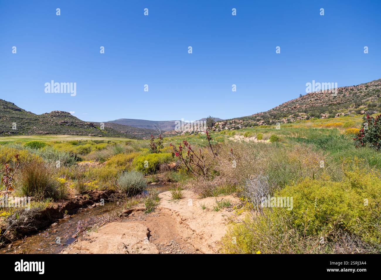 Landscape on the Rooibos Heritage Route north of Dooringbos in the ...