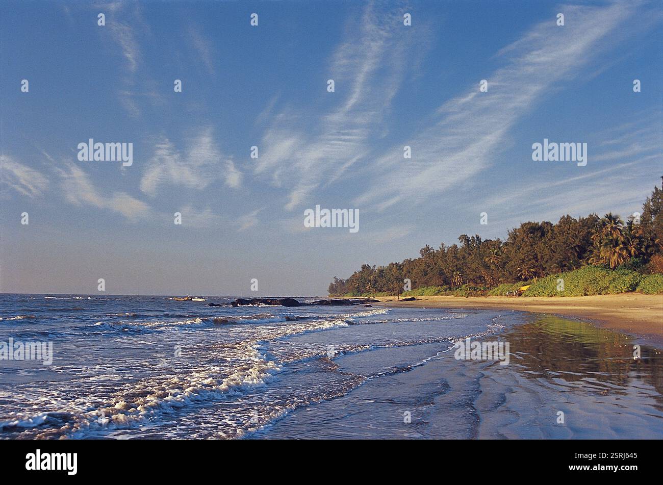 Altostratus Clouds Looming over Kihim Beach, Maharashtra, India, Asia ...