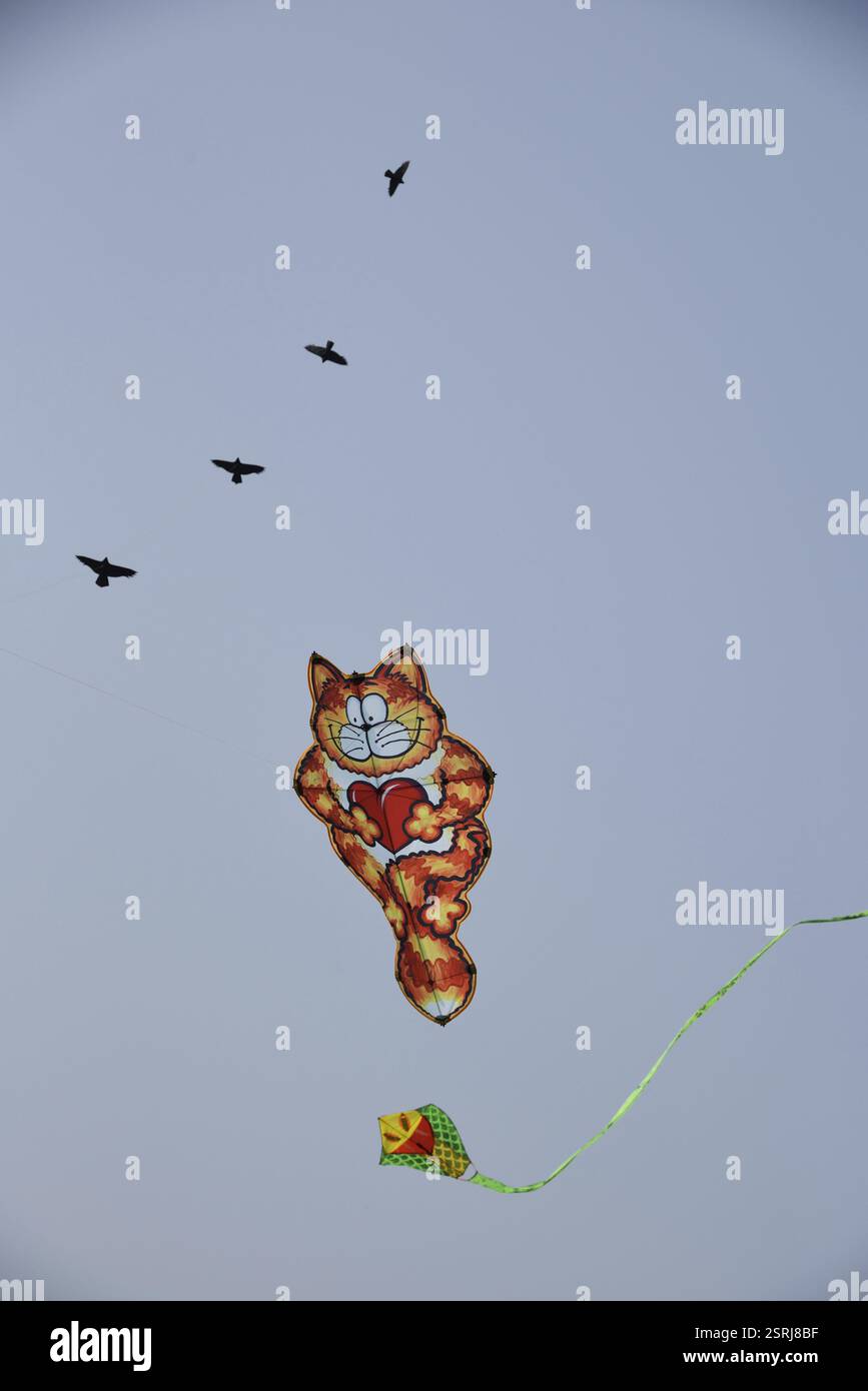 Kite like cat, International Kite Festival, Tithal, Valsad, Gujarat ...