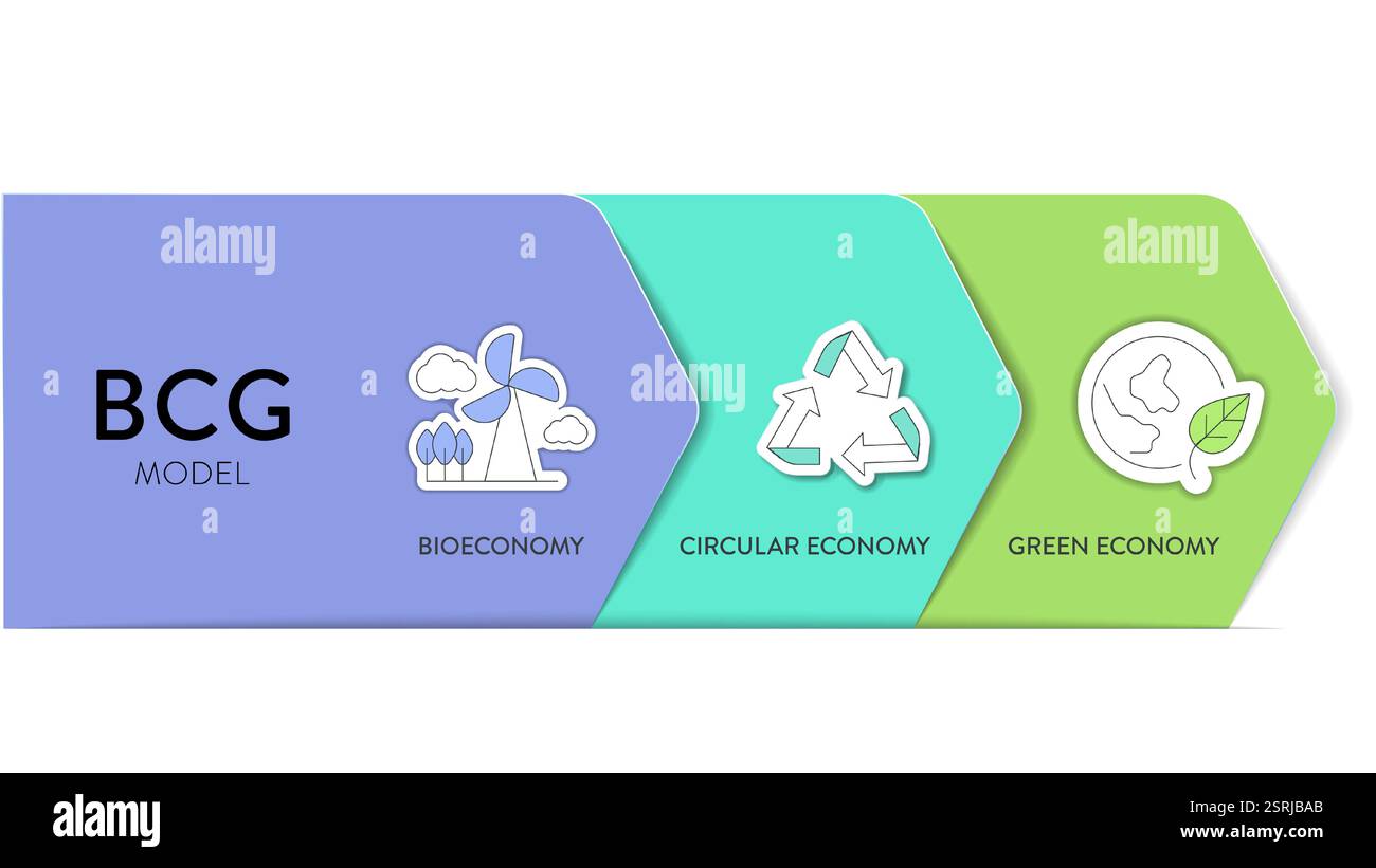 Bcg Model Strategy Infographic Diagram Chart Banner Template For