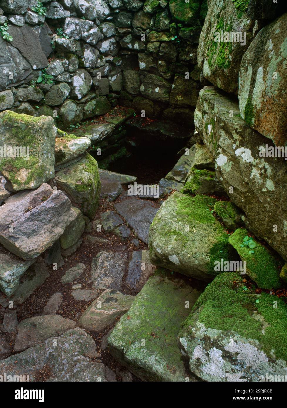 View NE of the smaller well chamber outside the rear (N) wall of the ...
