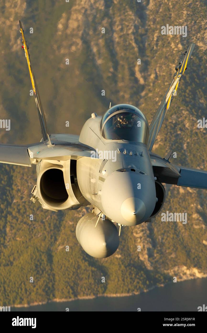 Swiss Air Force F/A-18 Hornet: A twin-engine multirole fighter with ...