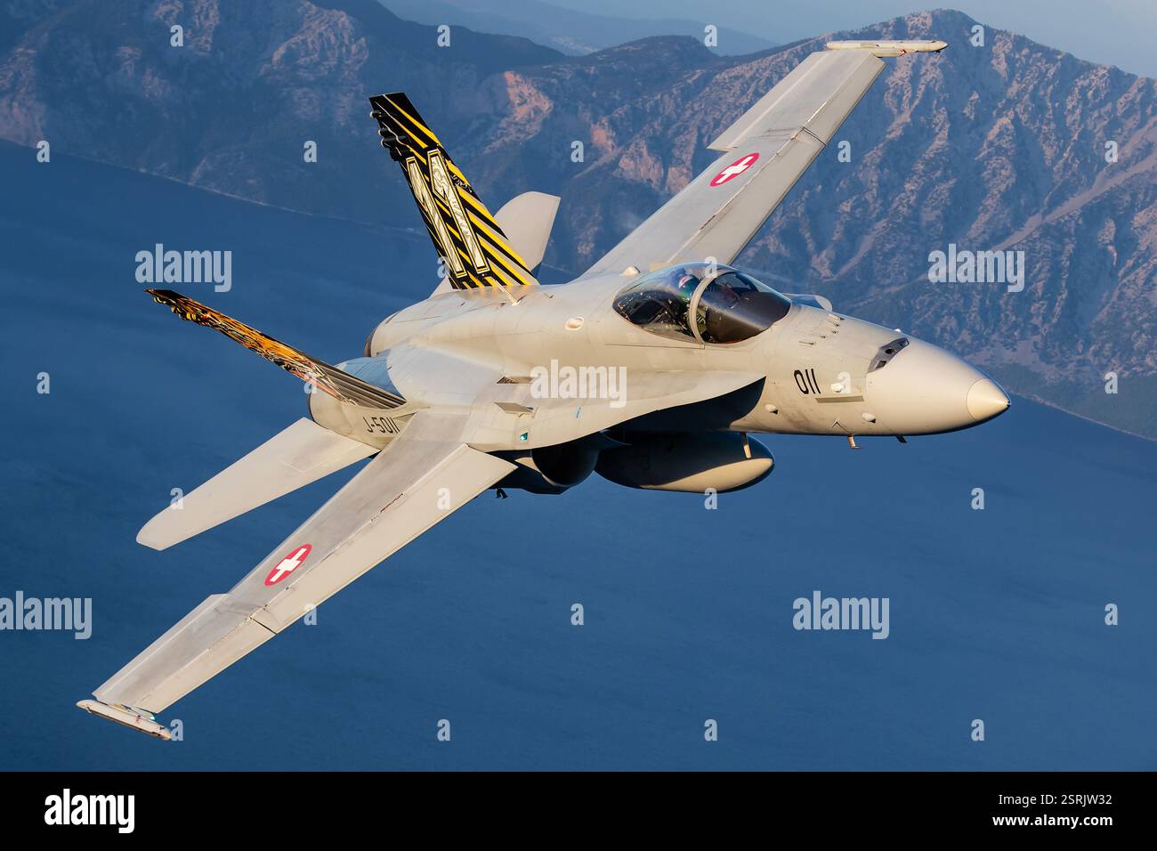 Swiss Air Force F/A-18: Single-seat multirole fighter, powered by ...