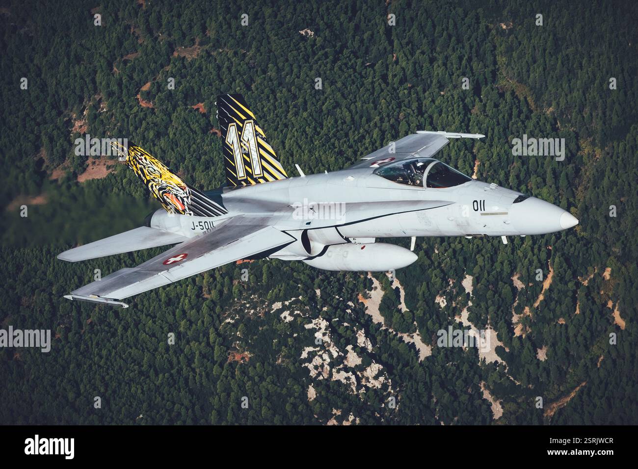 Swiss Air Force F/A-18C Hornet: Carrier-capable multirole fighter with ...