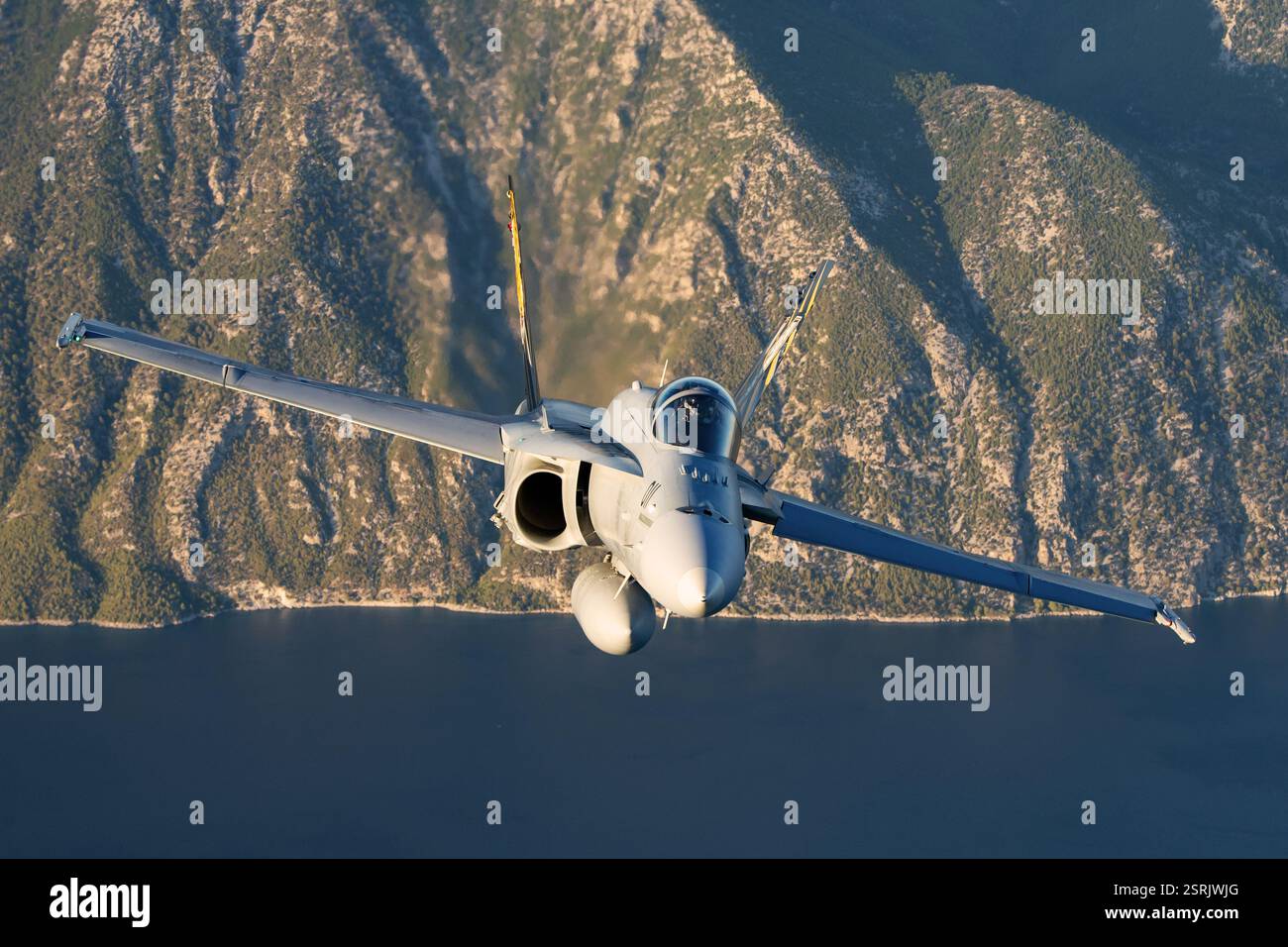 Swiss Air Force F/A-18: Single-seat multirole fighter, powered by ...