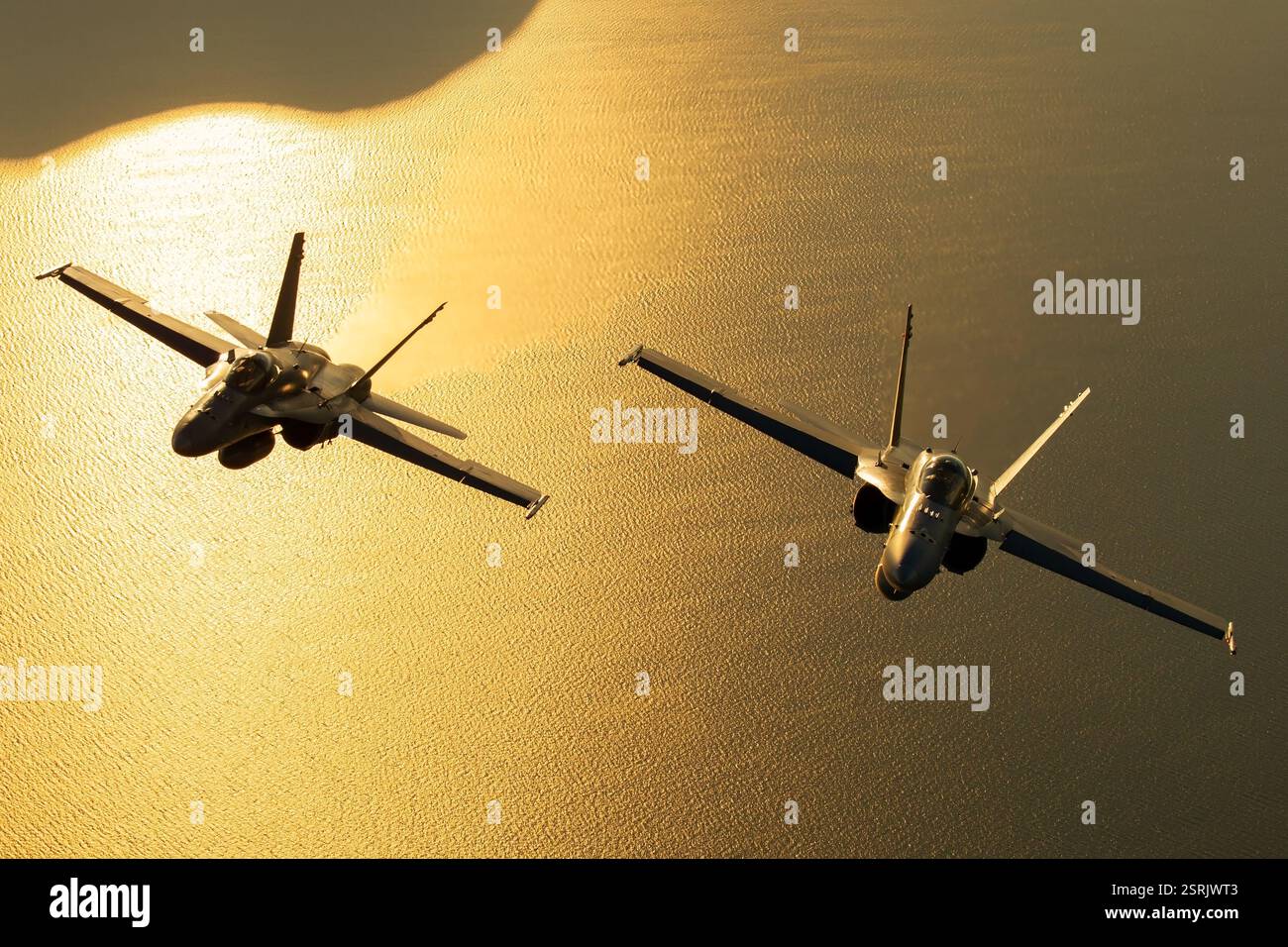 Swiss Air Force F/A-18 Hornet: A versatile fighter jet powered by twin ...