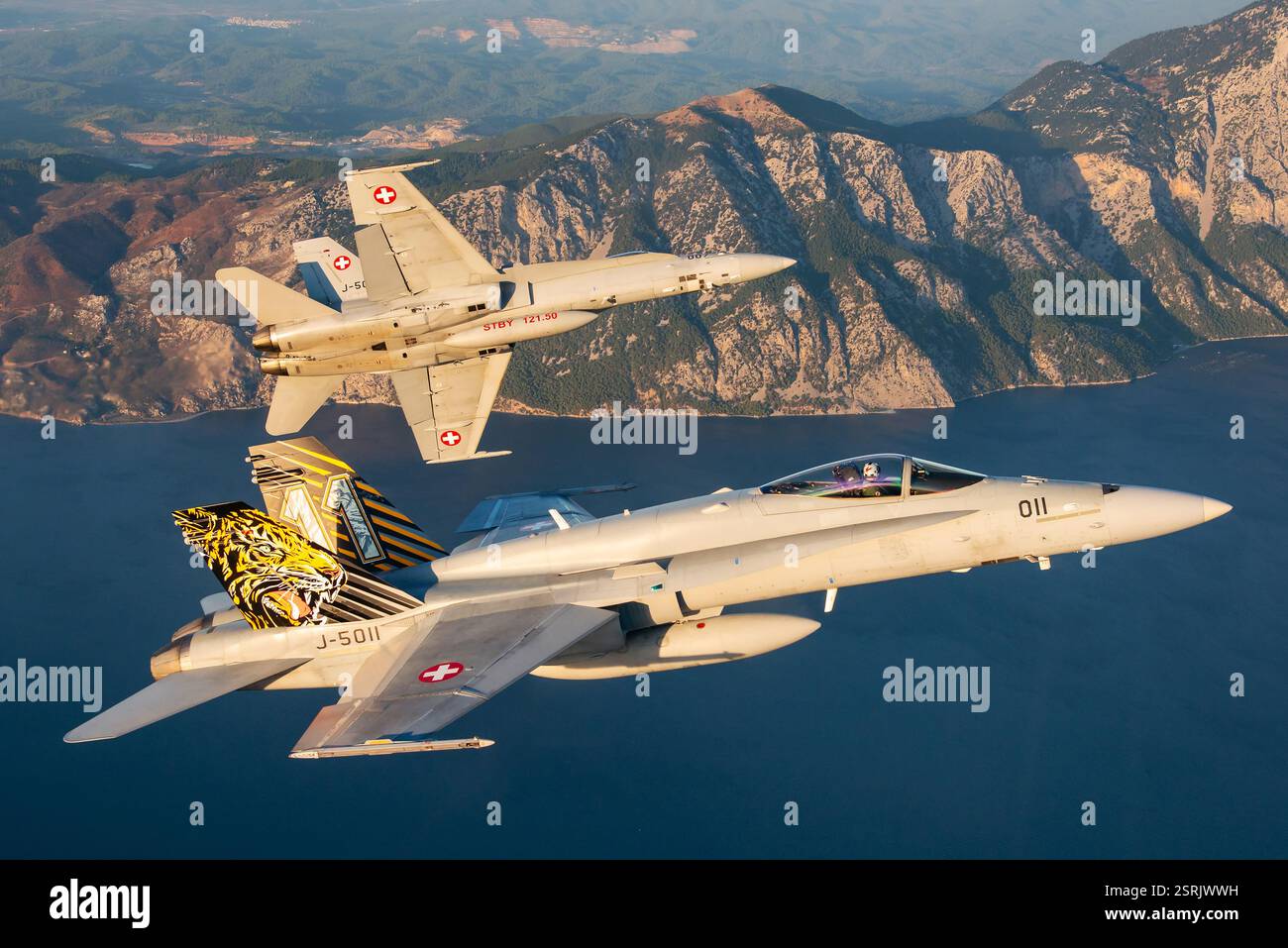 Swiss Air Force F/A-18: Single-seat multirole fighter, powered by ...
