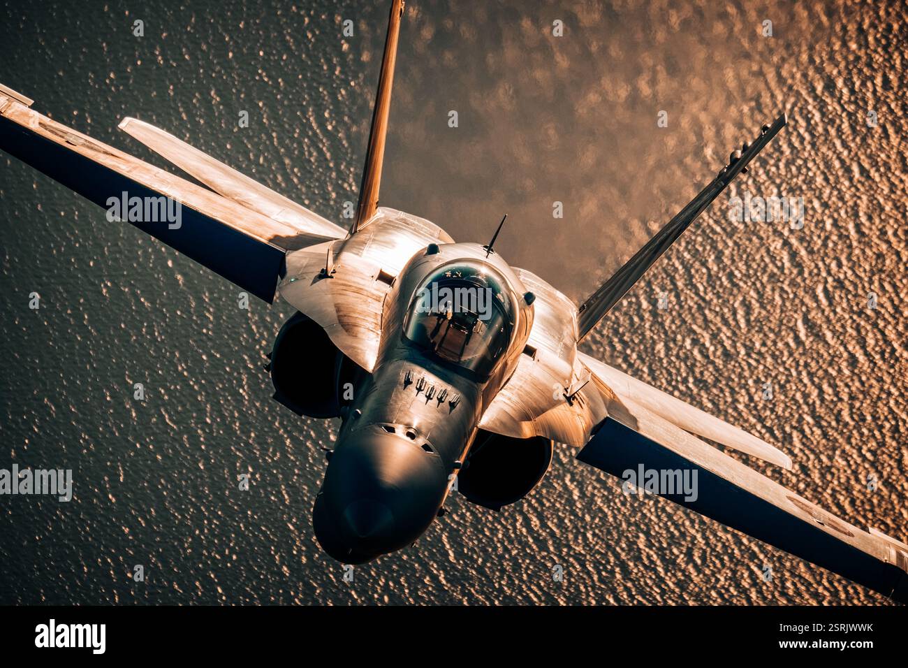 Swiss Air Force F/A-18: Single-seat multirole fighter, powered by ...