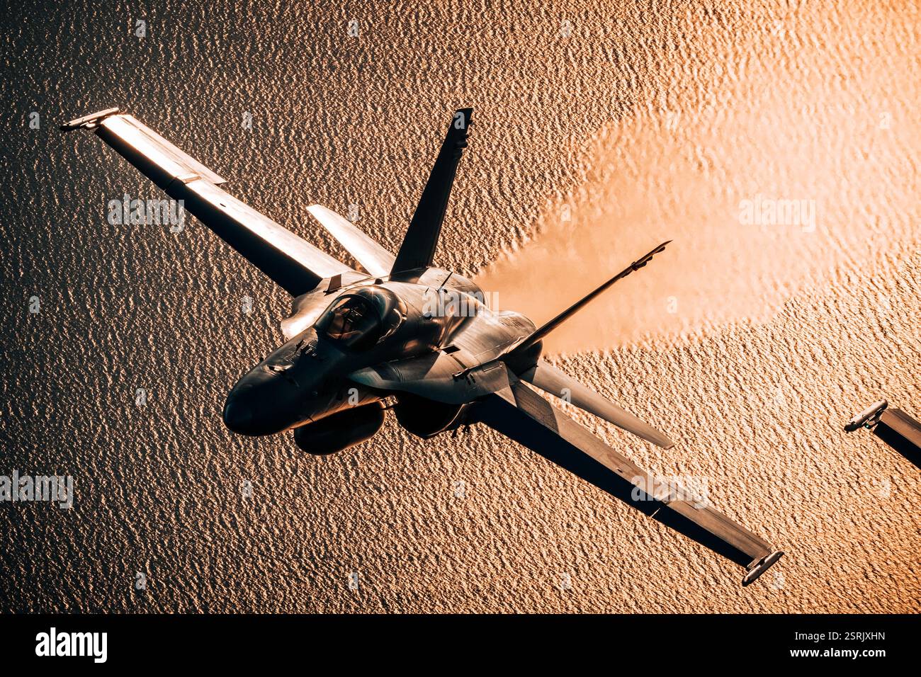 Swiss Air Force F/A-18: Single-seat multirole fighter, powered by ...