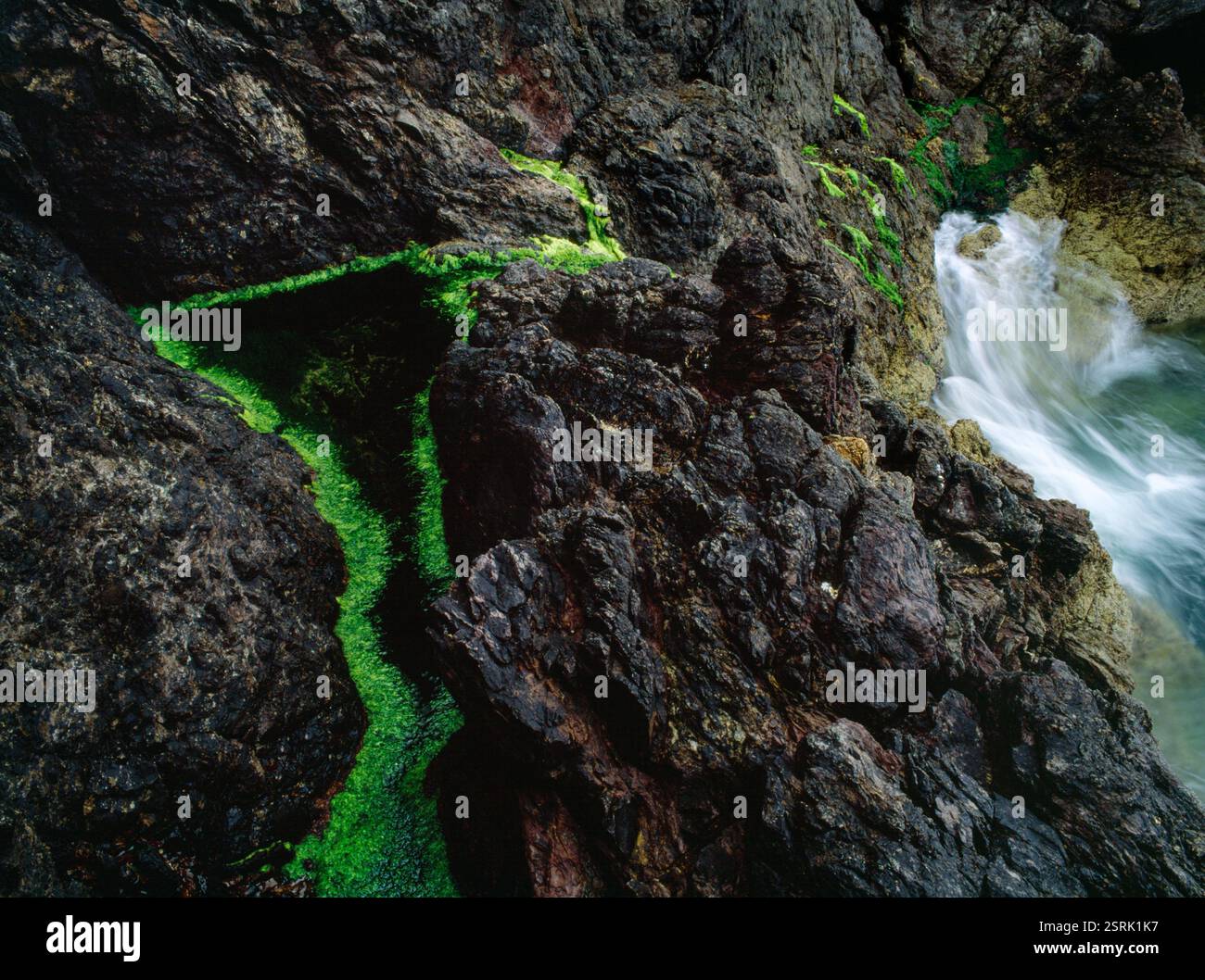 View E of St Mary's Well (Ffynnon Fair): a holy freshwater spring on ...