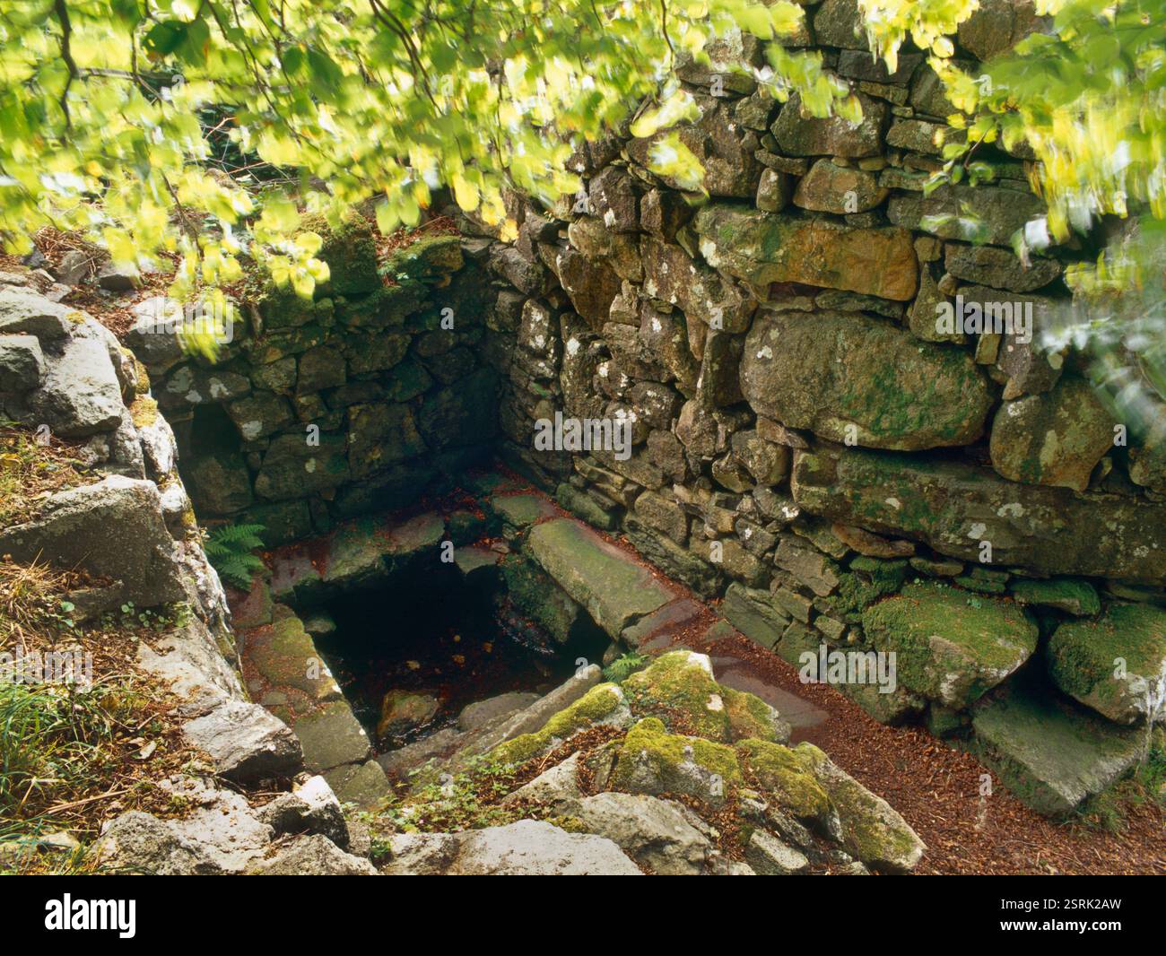 Smaller well chamber hi-res stock photography and images - Alamy
