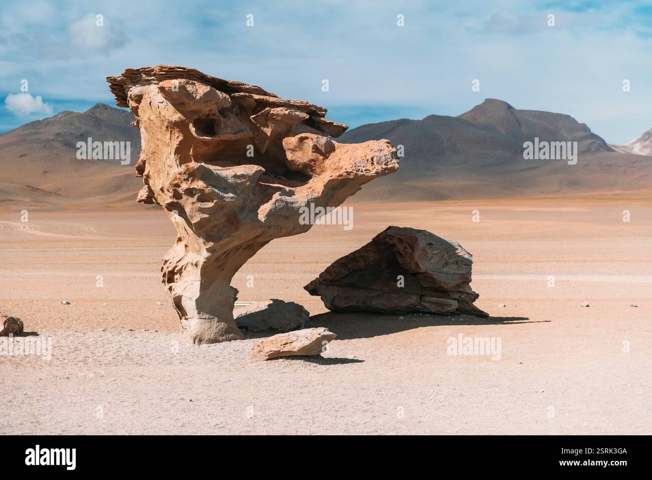 The stone tree in the Dali desert in bolivia Stock Photo - Alamy