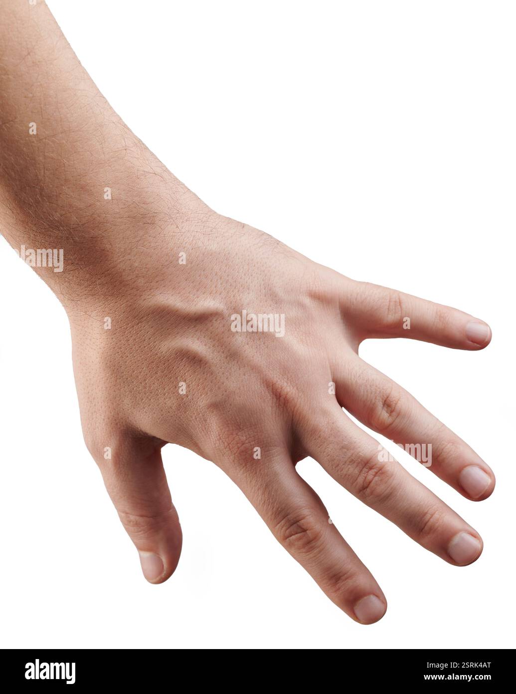 Open hand back view isolated on white studio background Stock Photo - Alamy