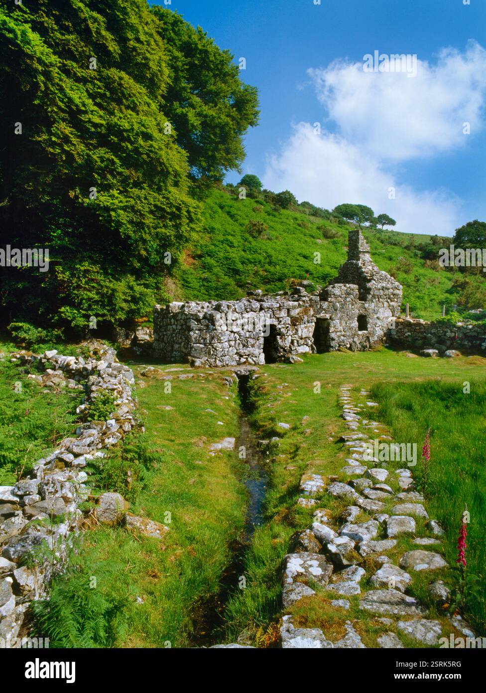 Holy well cottage hi-res stock photography and images - Alamy