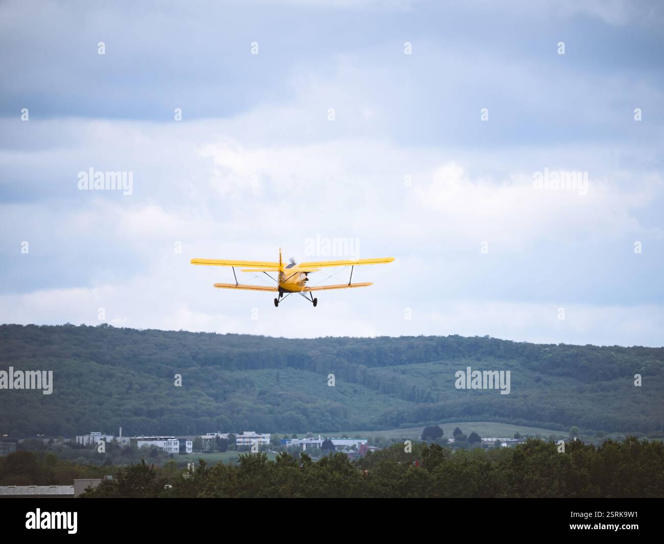 A vintage yellow biplane soars into the sky above a lush green ...