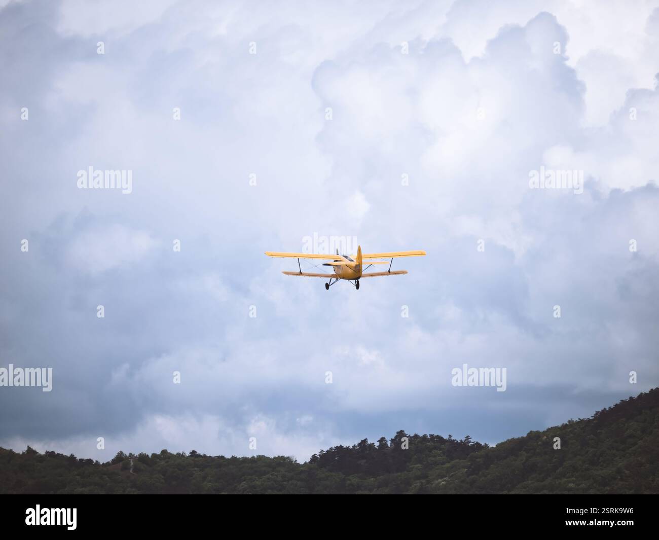 A vintage yellow biplane soars into the sky above a lush green ...
