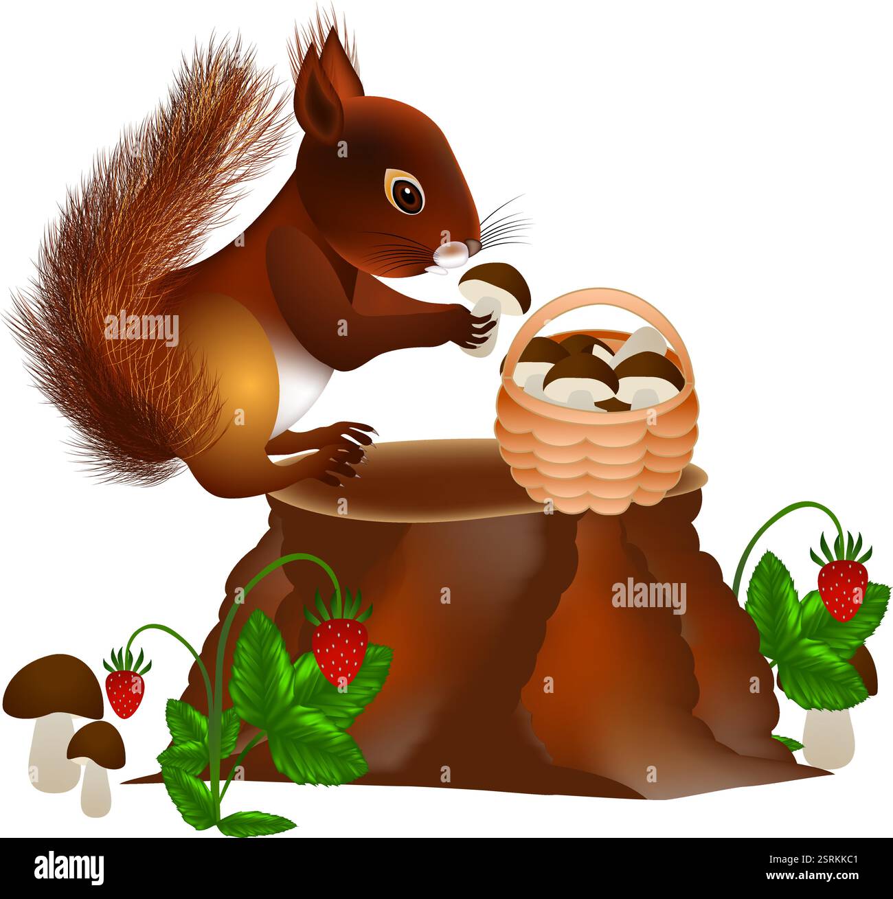 Squirrel with mushroom Stock Vector Images - Alamy
