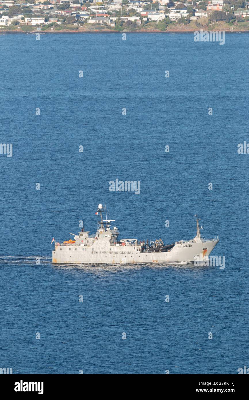 Derwent River, Hobart Tasmania Australia - December 24 2024: Sea ...