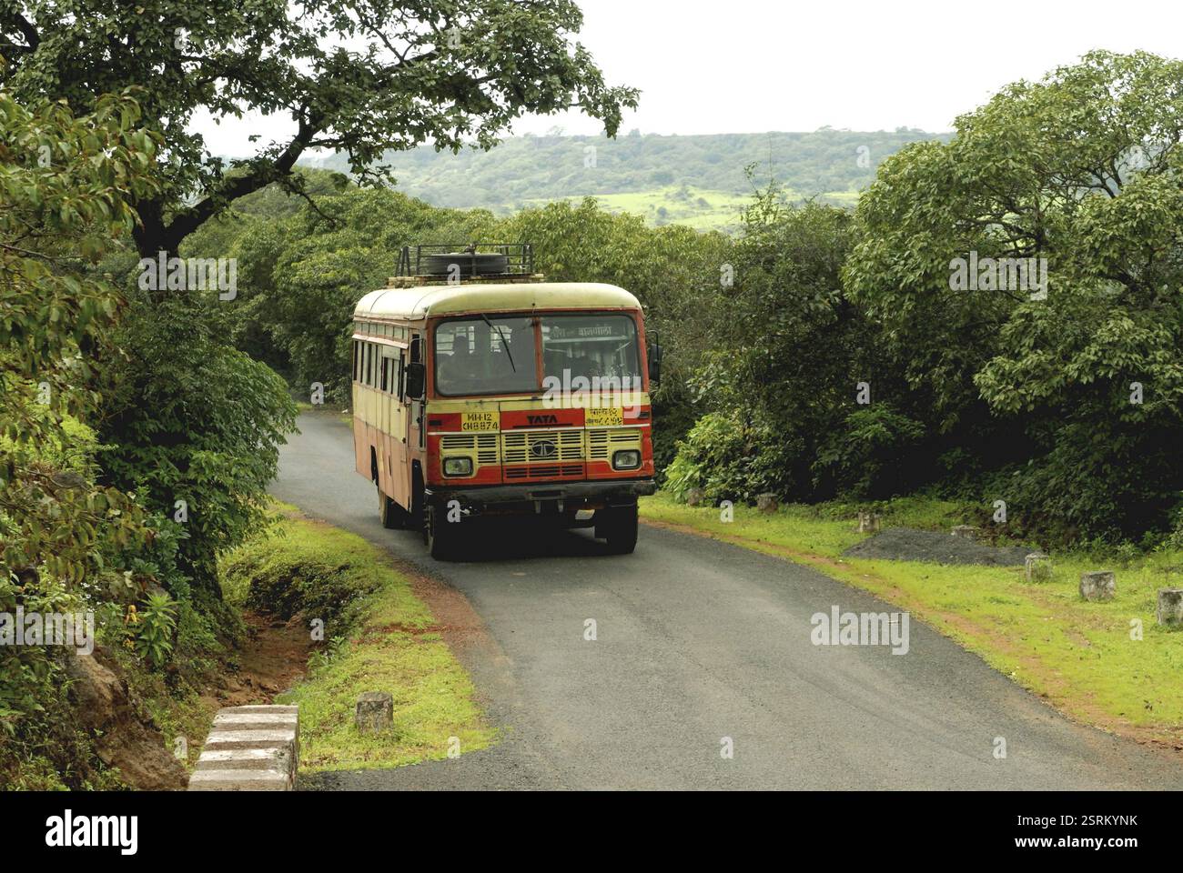 ST bus on way to kass, Satara, Maharashtra, India, Asia Stock Photo - Alamy
