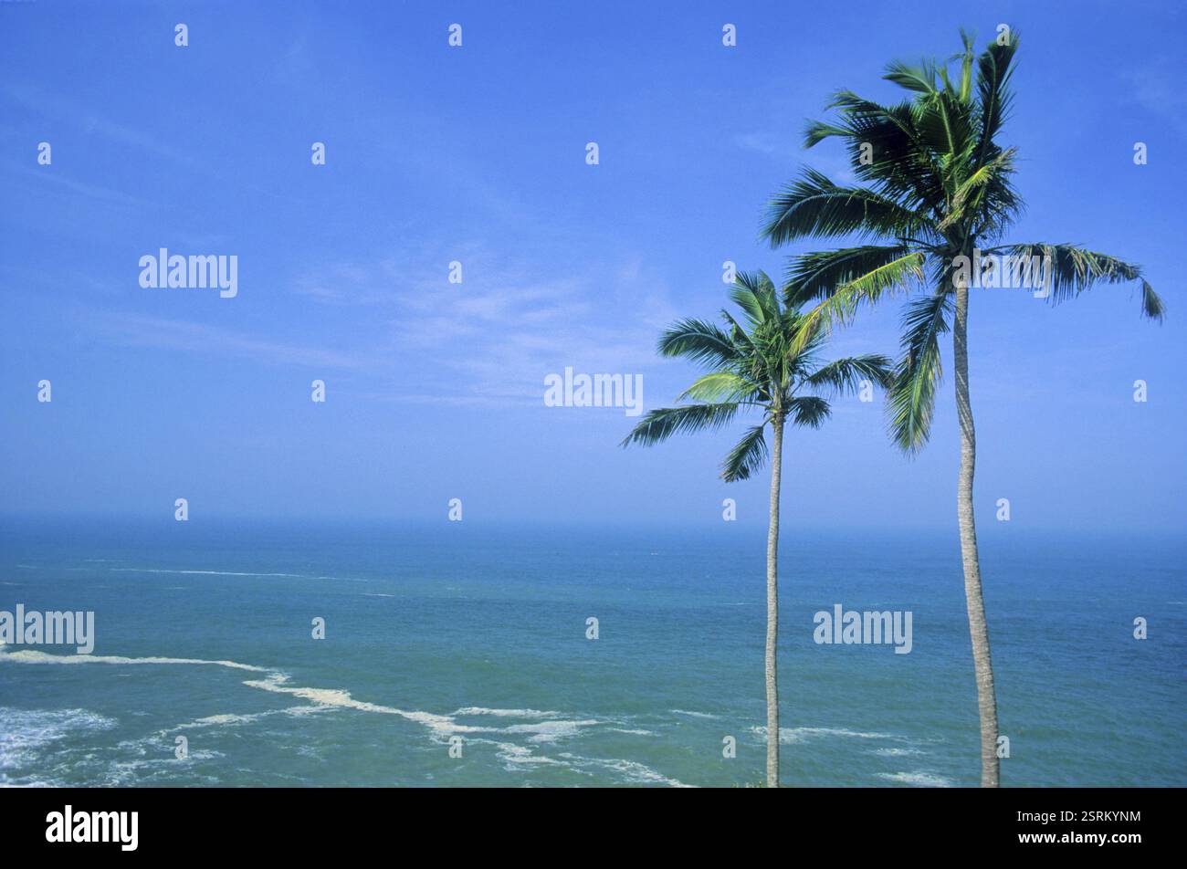 Kovalam Beach, Trivandrum, Kerala, India, Asia Stock Photo - Alamy