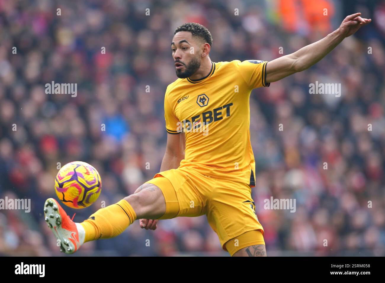 Wolverhampton Wanderers' Matheus Cunha in action during the English ...