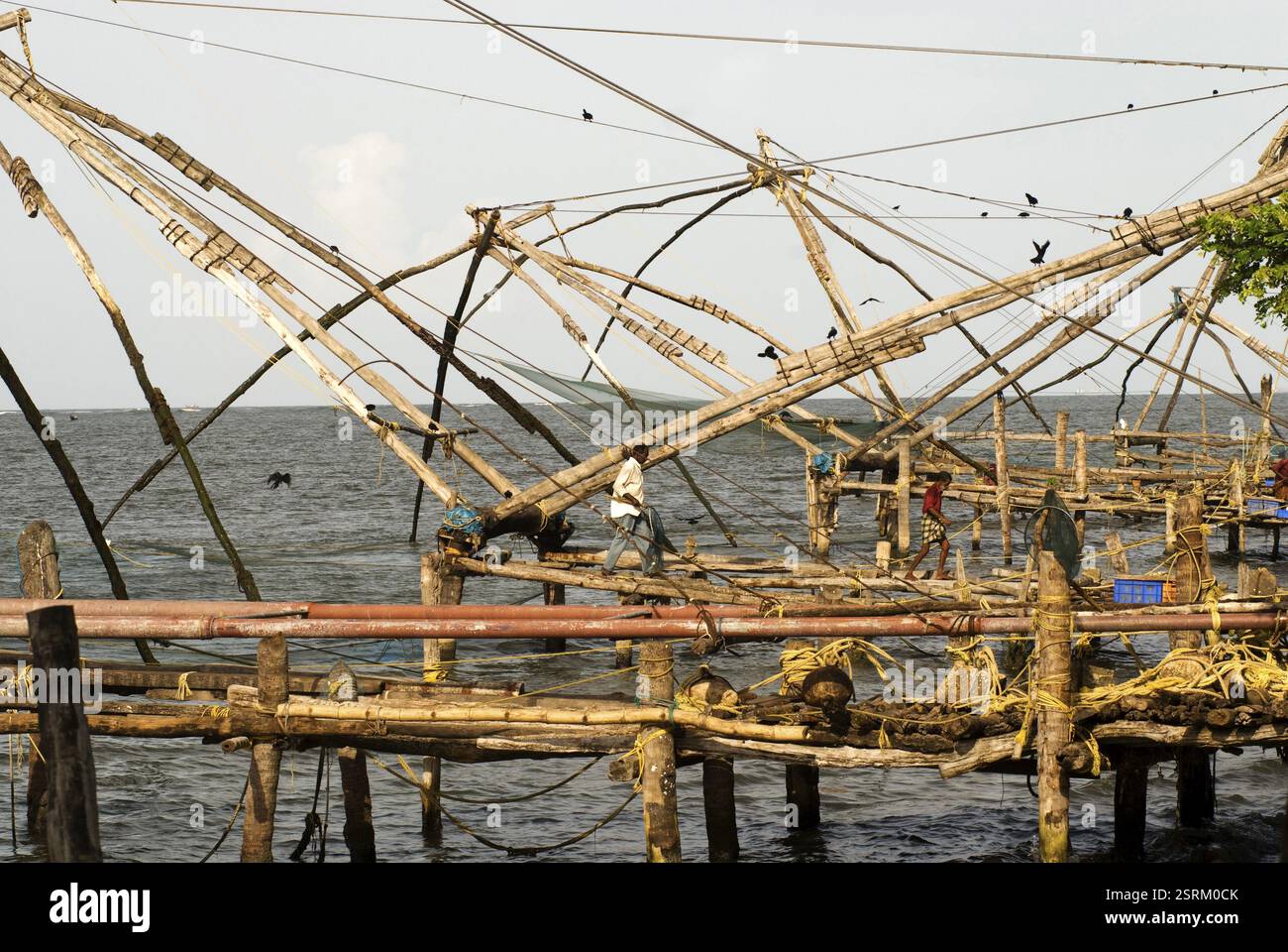 Chinese fishing nets cheena vala in Vypeen Island, Kochi Cochin, Kerala ...