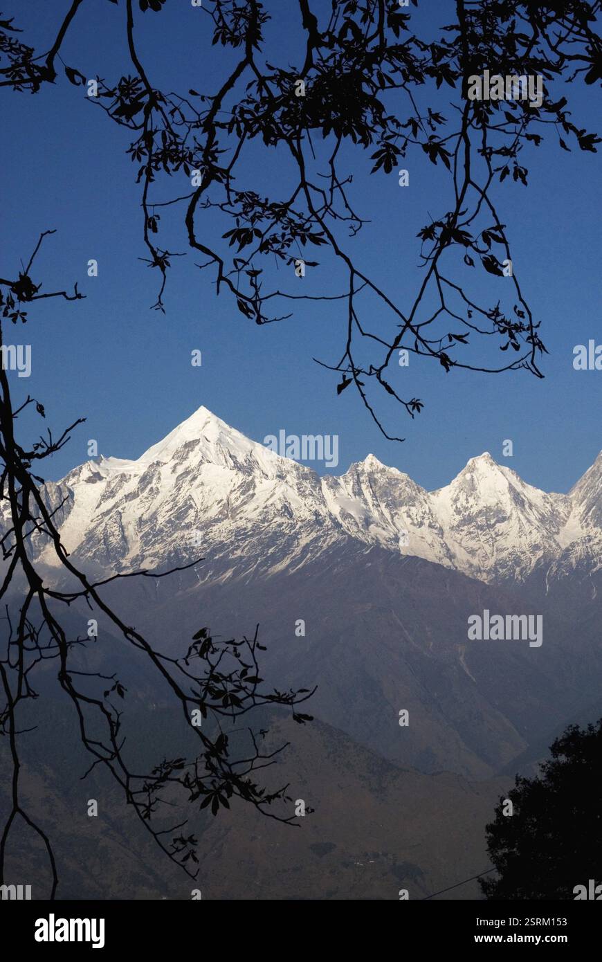 Panchchuli, Munsiyari, Uttaranchal Uttarakhand, India, Asia Stock Photo ...