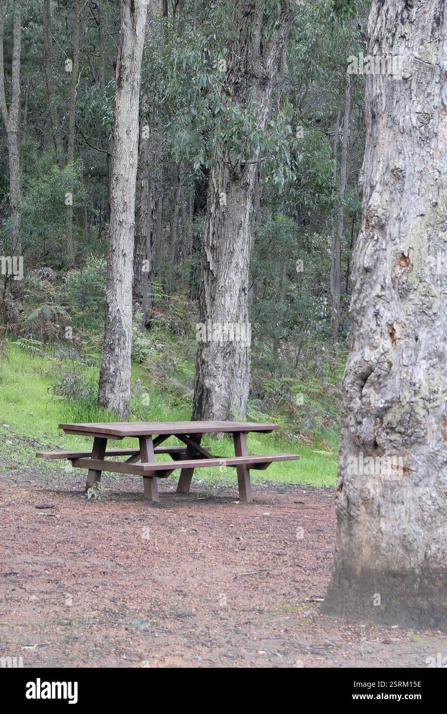 Garden dining bench, Perth, Australia, Oceania Stock Photo - Alamy