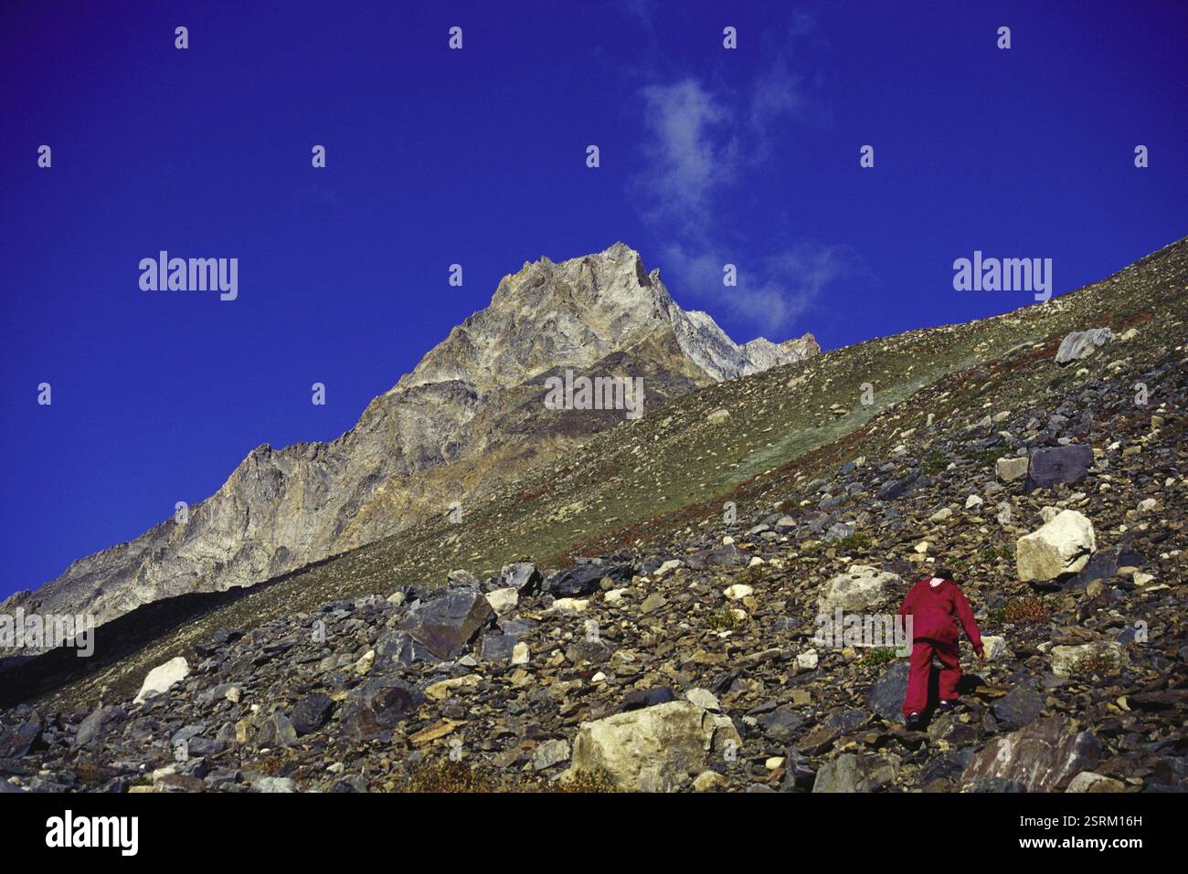 Kinnar, Kailash Trek, Himachal Pradesh, India, Asia Stock Photo - Alamy