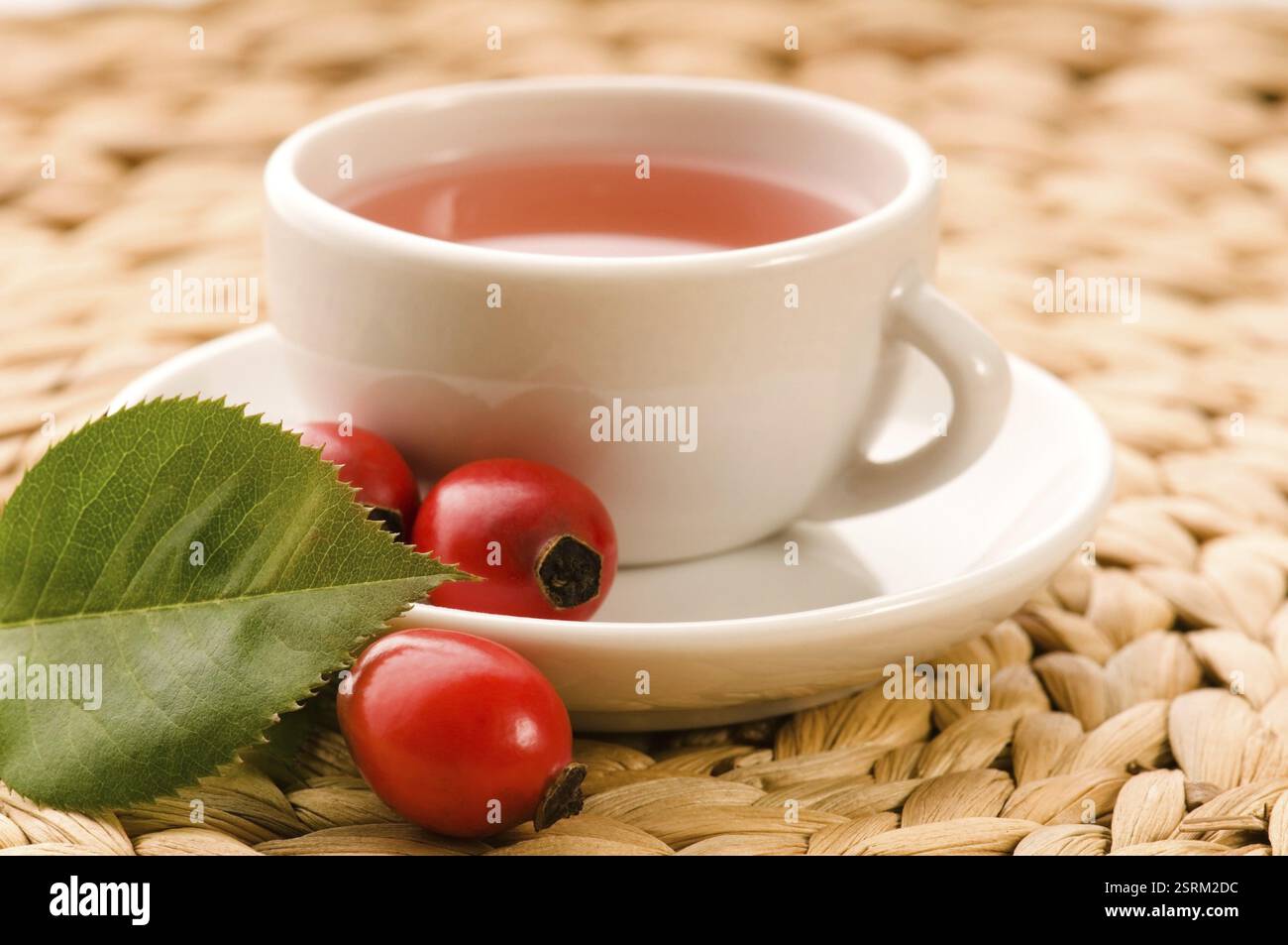 Rose hip tea, poland Stock Photo - Alamy