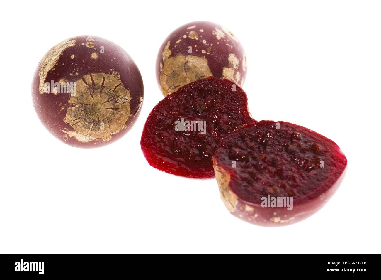 Prickly pear cactus (Opuntia ficus-indica) with red fruits Stock Photo ...