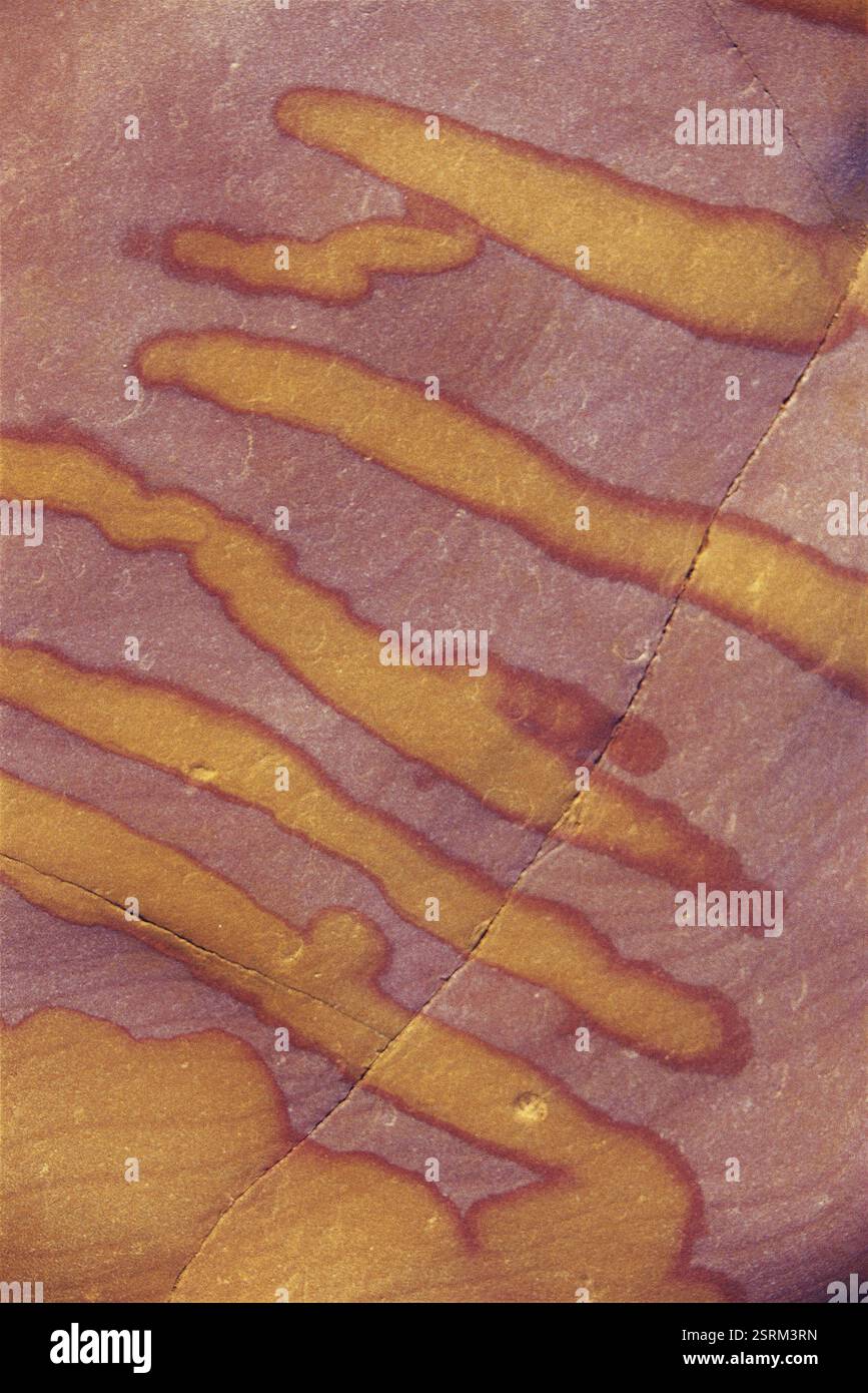 Yellow Patches on Red Rock Look like Brush Strokes, Madhya Pradesh ...