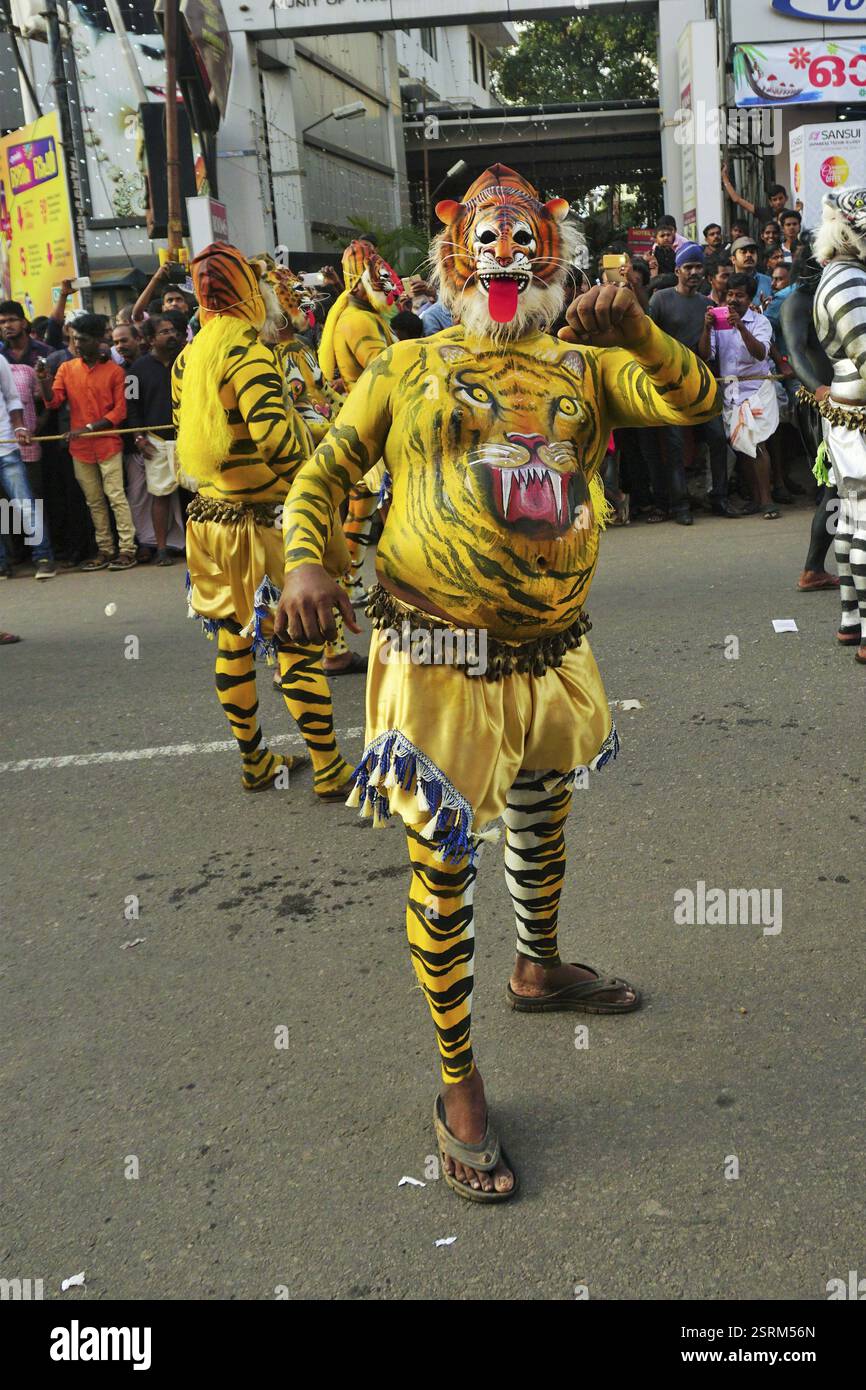Pulikali Tiger Dance procession, Onam festival, Thrissur, Kerala, India ...