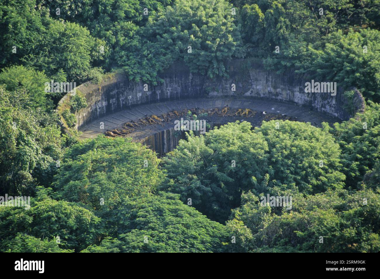 Towers of Silence, Bombay Mumbai, maharashtra, india Stock Photo - Alamy