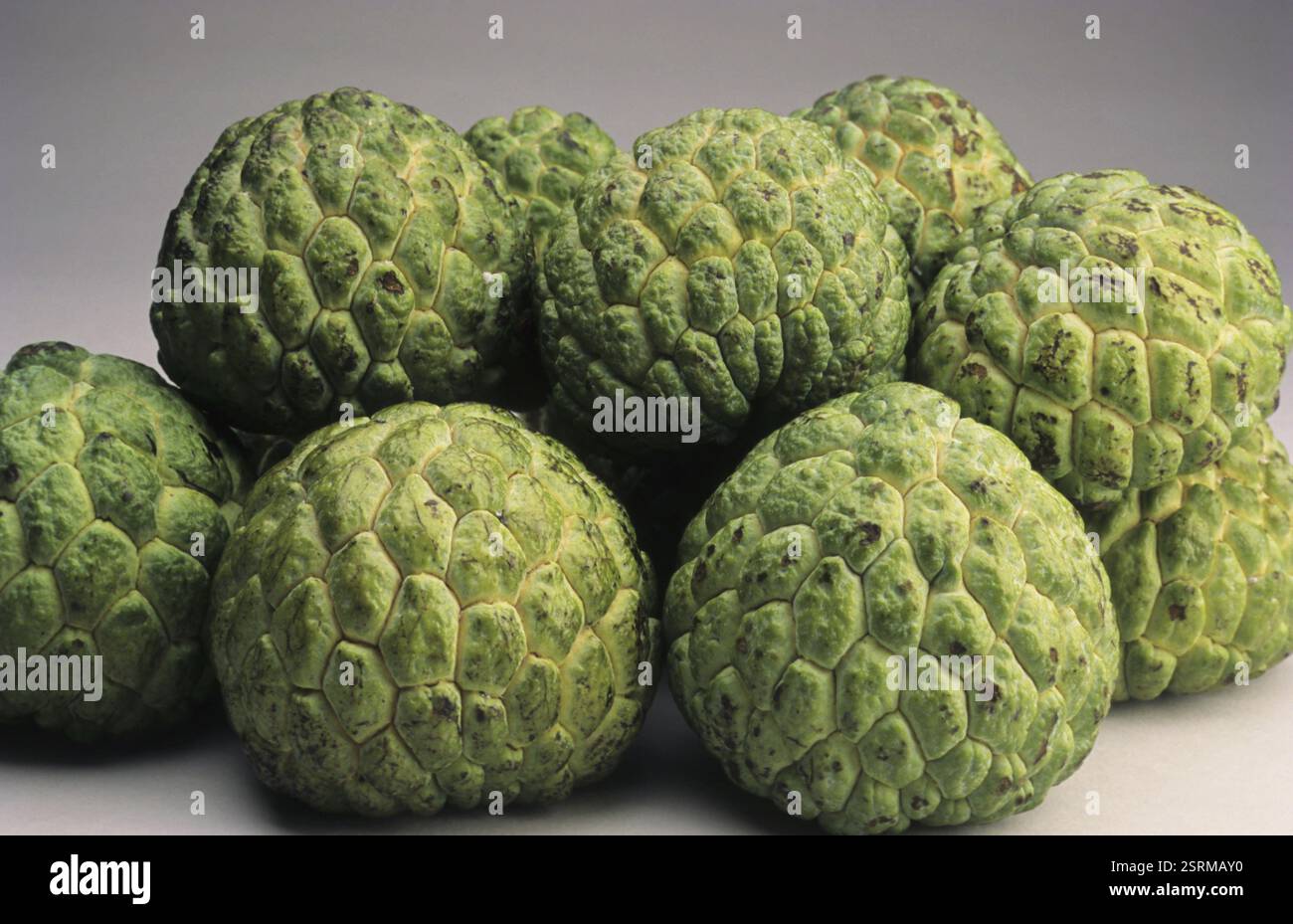 Fruits - Custard Apple Stock Photo - Alamy