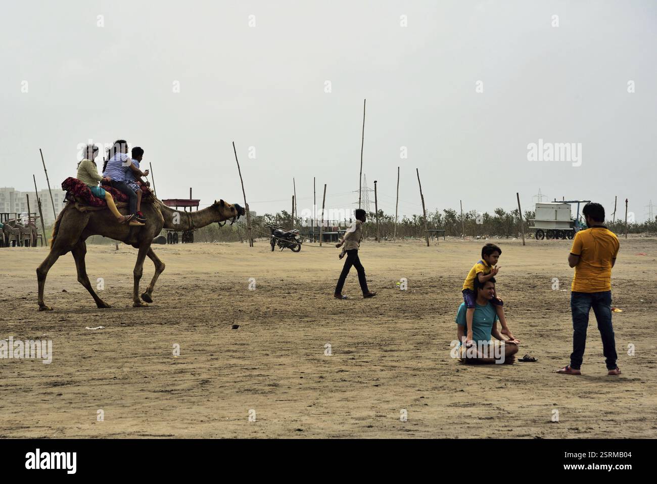 Camel ride, Dumas beach, Surat, Gujarat, India, Asia Stock Photo - Alamy