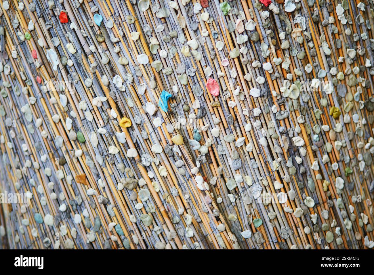 Tree trunk covered with chewing gum near grave of Jim Morrison on Pere ...