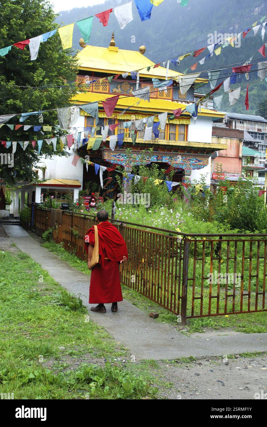 Tibetan monastery, Manali, Himachal pradesh, india Stock Photo - Alamy