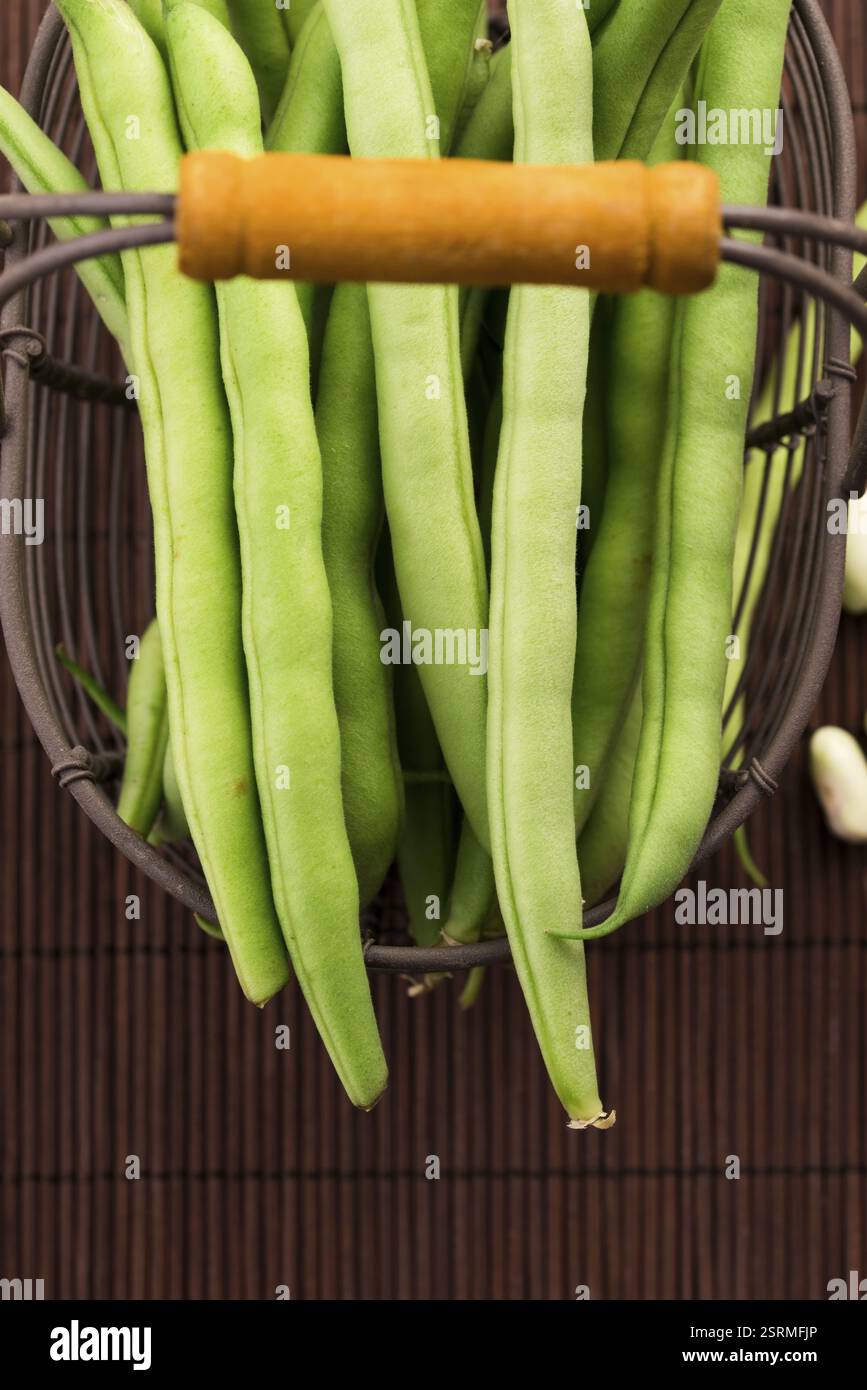 Common bean section hi-res stock photography and images - Alamy
